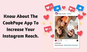 How Cookape Ensures Continuous Instagram Follower Growth