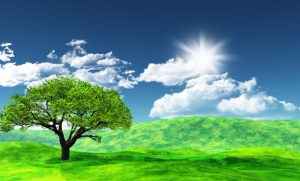 How Does Nature Real Ytr Help You Connect with Nature?
